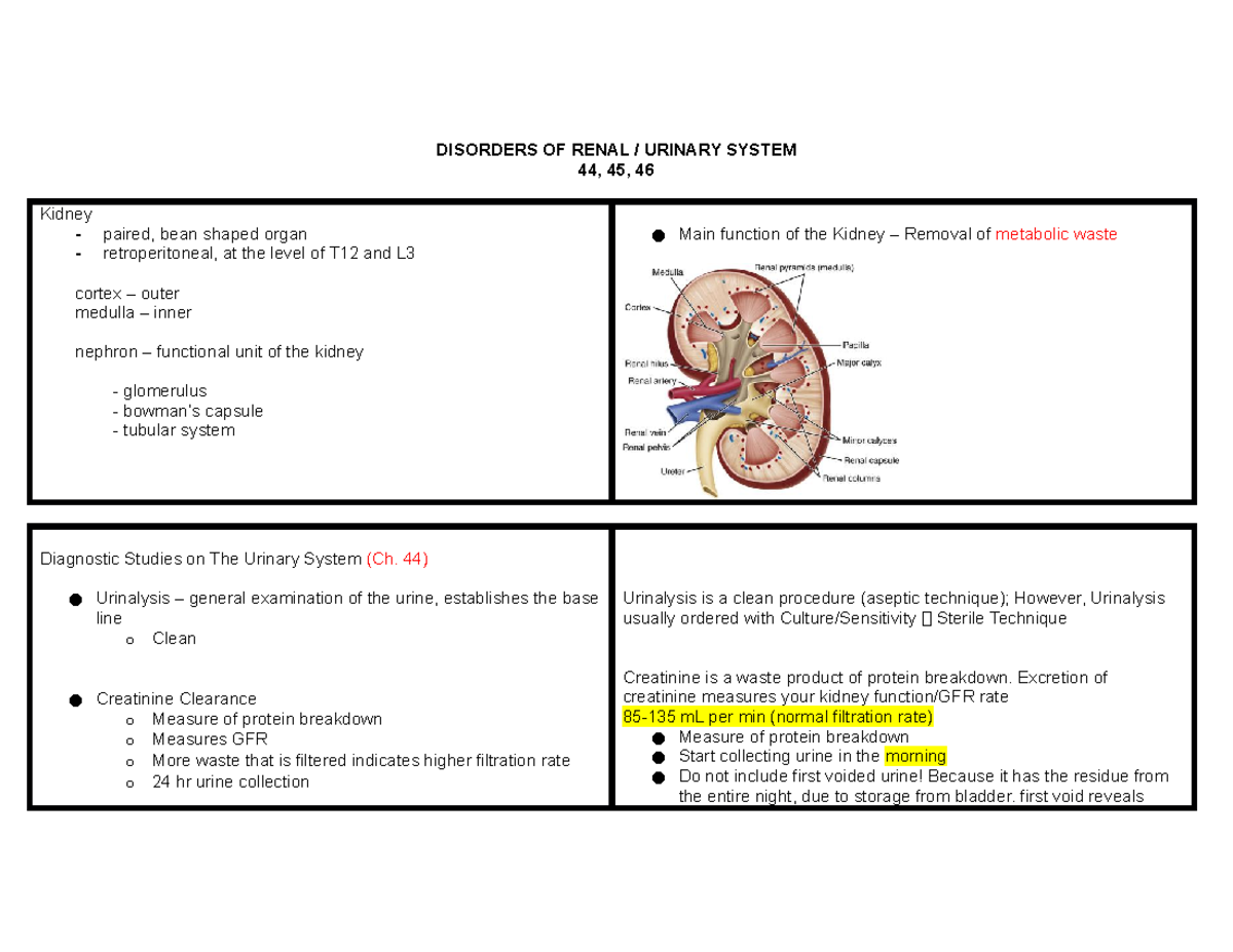 10 - Disorders of the Urinary and Renal System (Ch. 44-46) - Studocu
