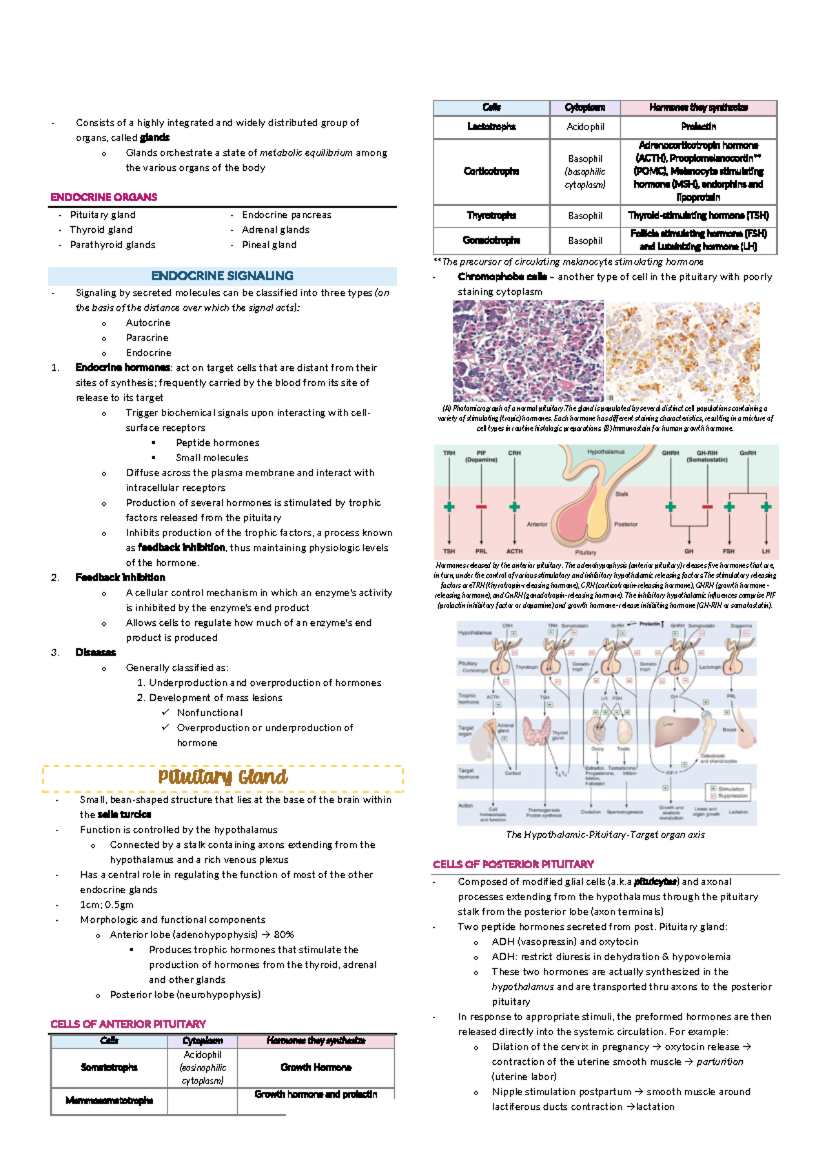 Endocrine system and diseases - Far Eastern University – Nicanor Reyes ...