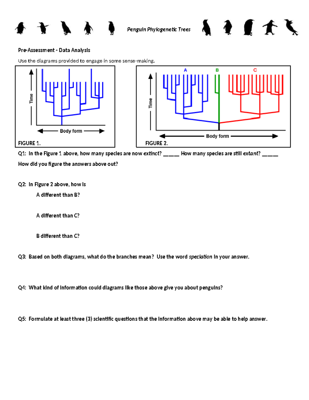 Penguin Phylogenetic Trees Analysis and Amino Acid Sequences (BIOL 302) - Studocu
