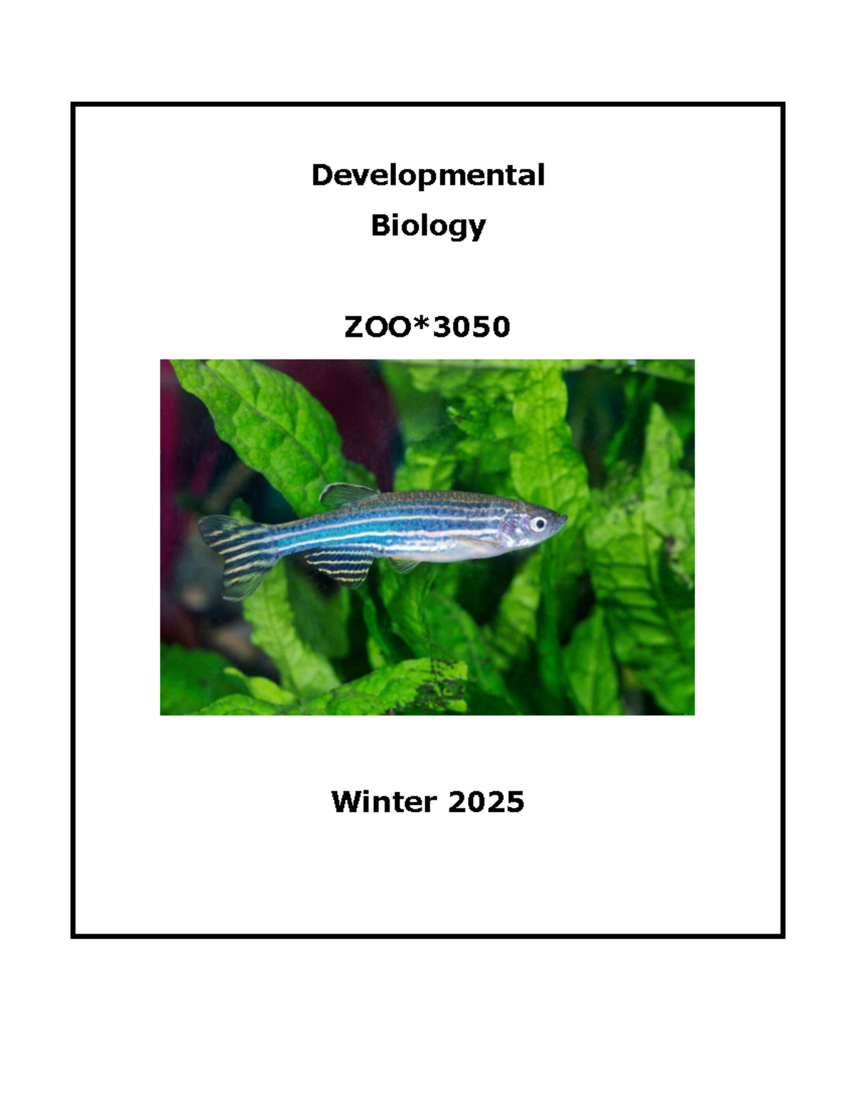 ZOO 3050 Winter 2025 Developmental Biology Lab Manual - Studocu