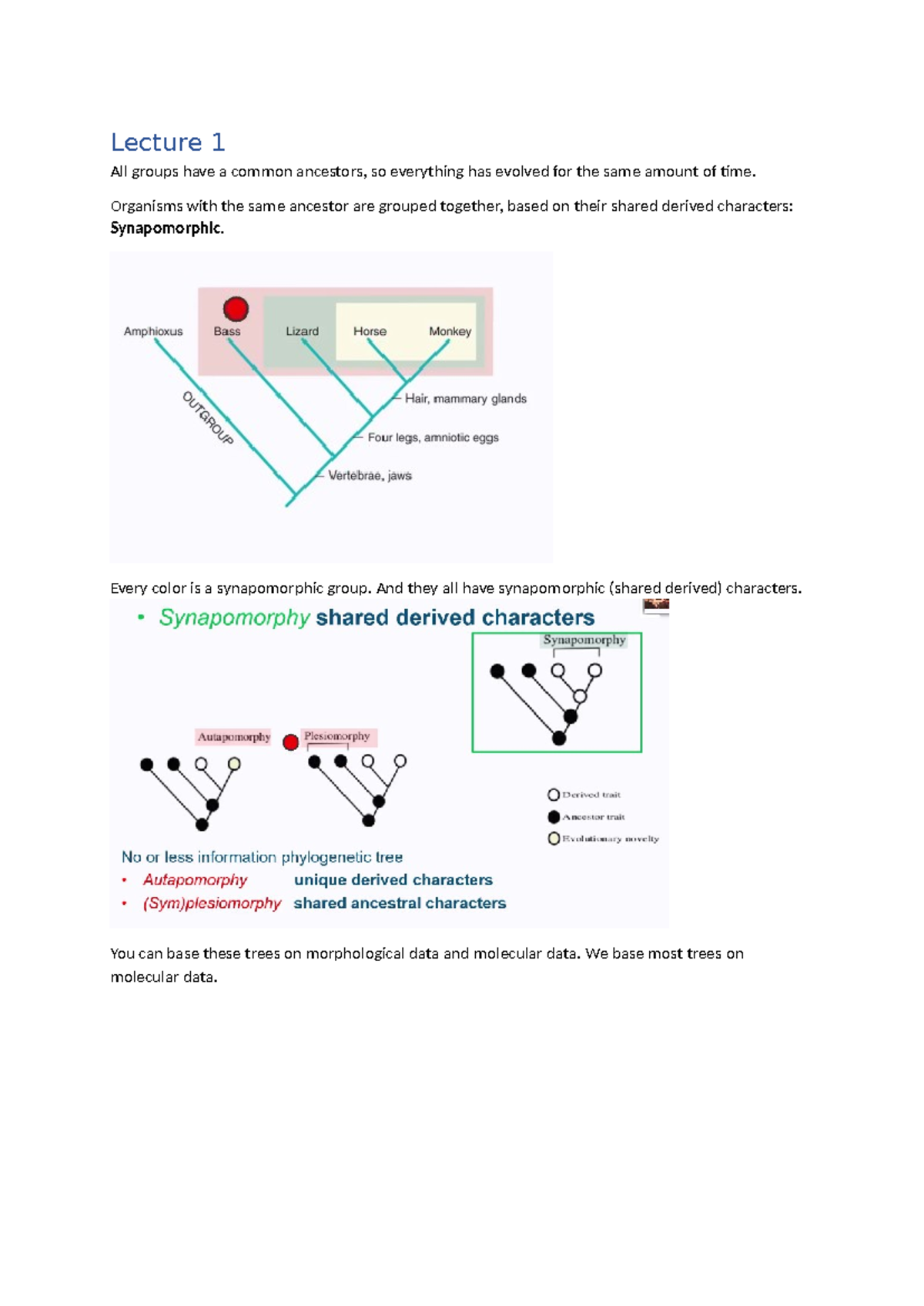 Vertebrate Structure and Function: Key Concepts from Lectures 1 & 2 ...