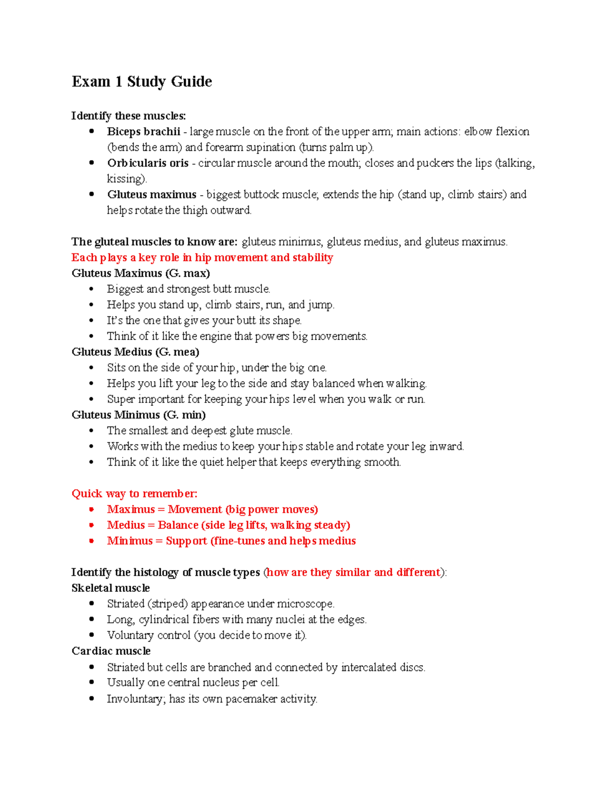 Exam 1 Study Guide - A&P Muscle Anatomy & Physiology Notes - Studocu