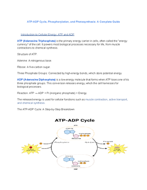UCSP-worksheet-1 - 5t5t - UNDERSTANDING CULTURE, SOCIETY AND POLITICS ...