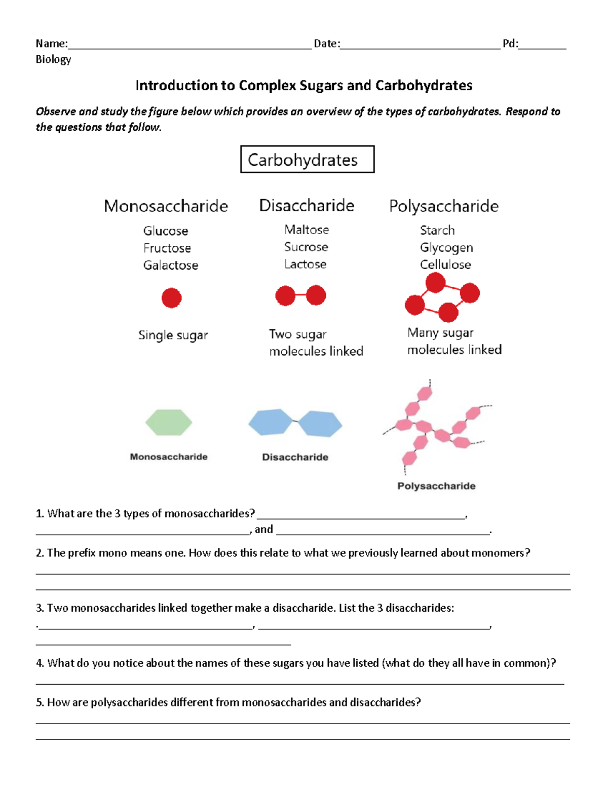 Biology 101: Bonding of Complex Sugars and Carbohydrates - Studocu