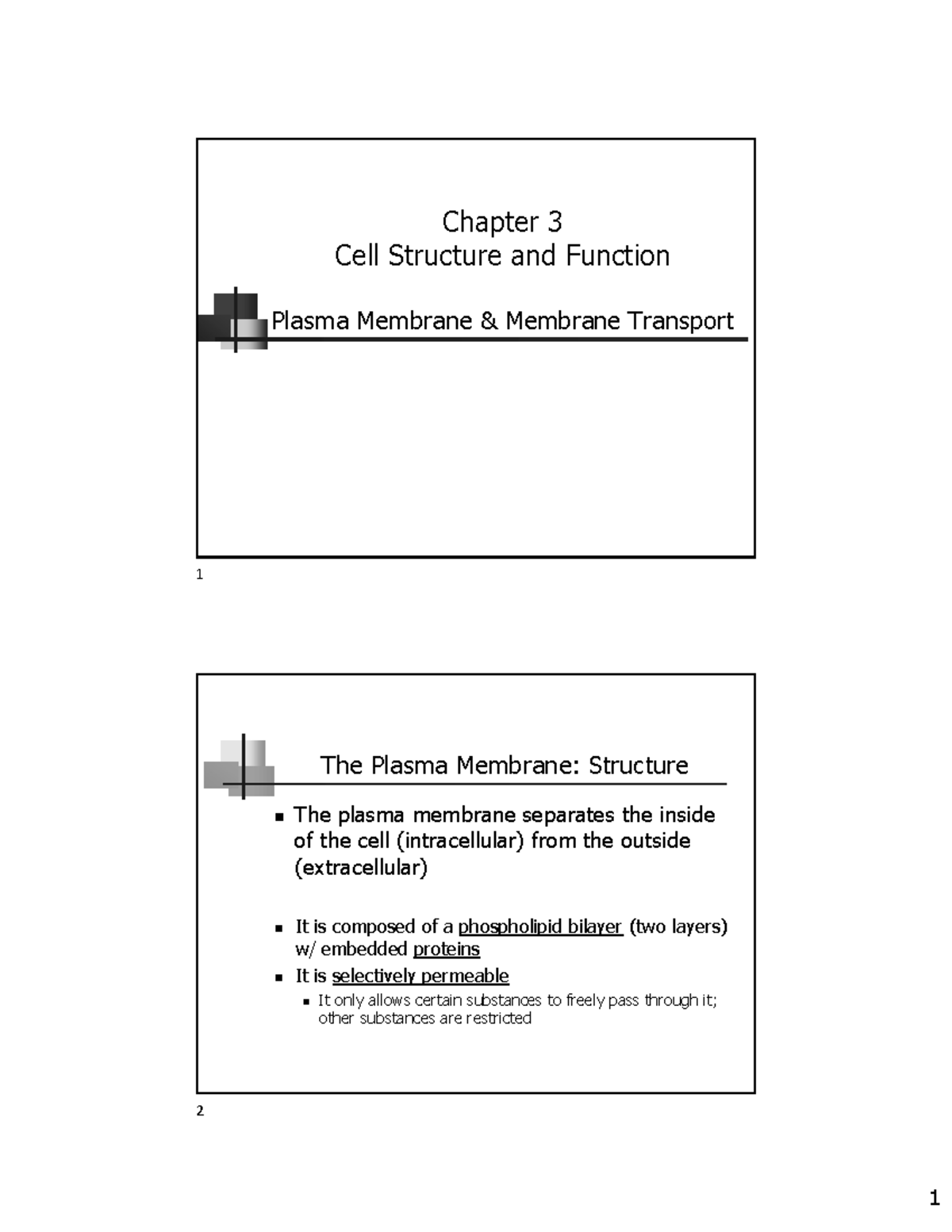 BIOL 101: Chapter 3 - Cell Structure, Plasma Membrane & Transport - Studocu
