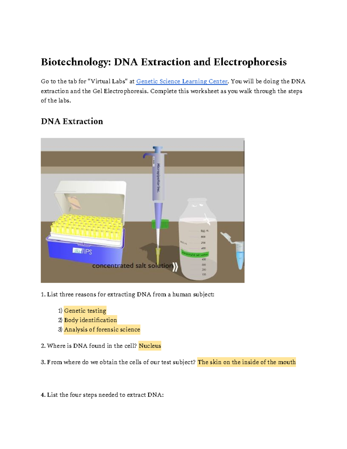 Biotechnology Lab: DNA Extraction & Gel Electrophoresis Guide - Studocu