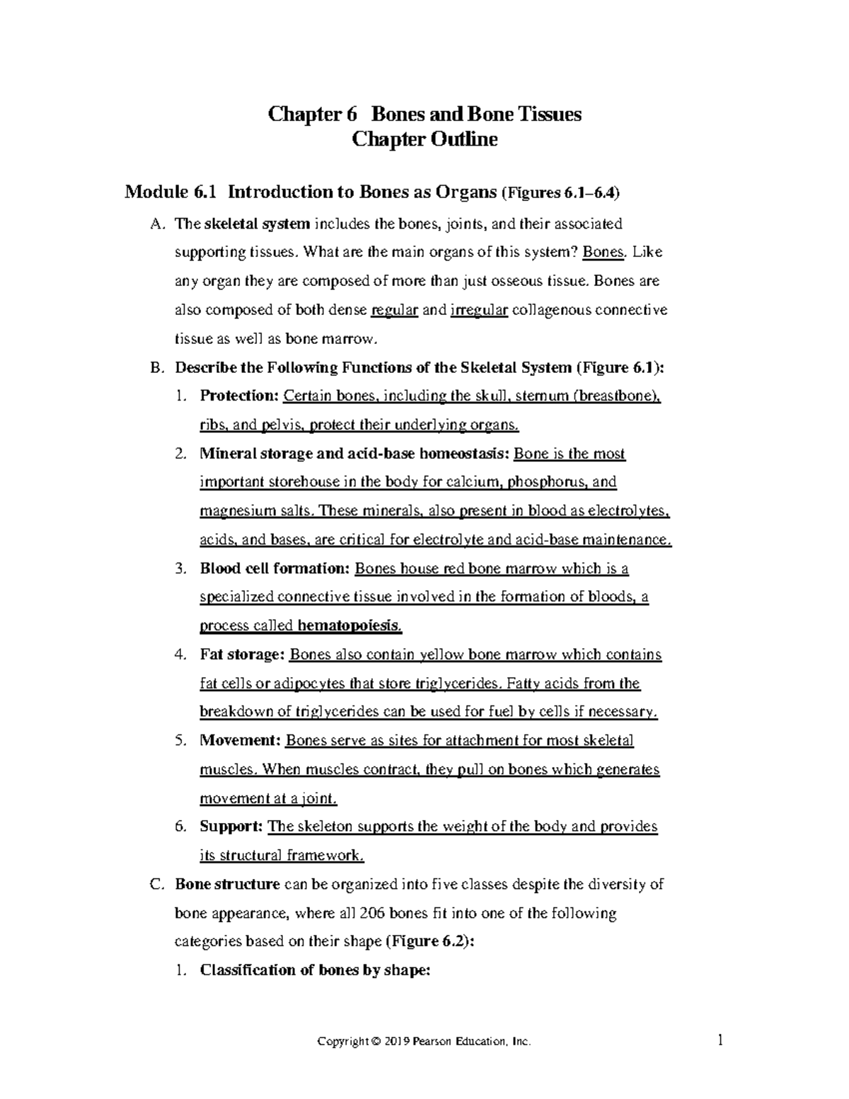 Chapter 6: Comprehensive Notes on Bones and Bone Tissues - Amerman 2nd ...