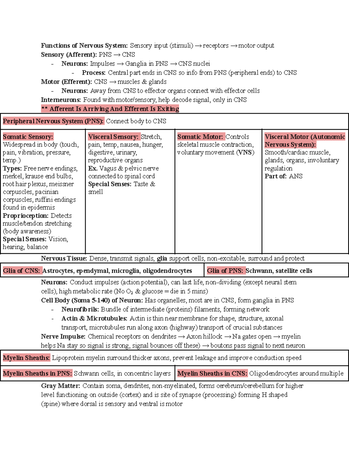 Anatomy Notes: Functions of the Nervous System and Related Structures ...