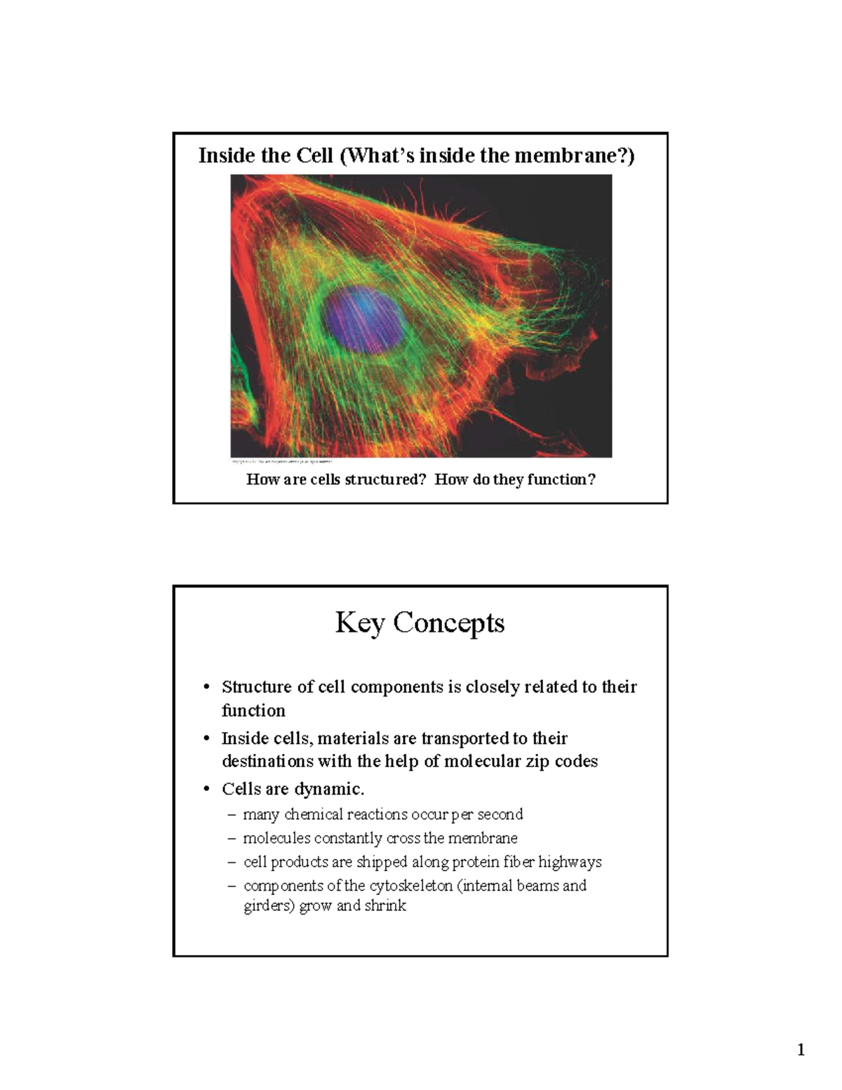 Eukaryotic Cell Components and Their Functions - AGB Lecture Notes ...