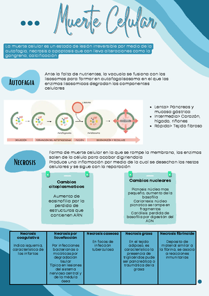 Pancreatitis - El signo de Fox es un signo clínico en el que se ...