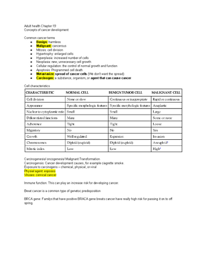 Adult Electrolyte Replacement Protocol Example - PHOSPHATE If K less ...