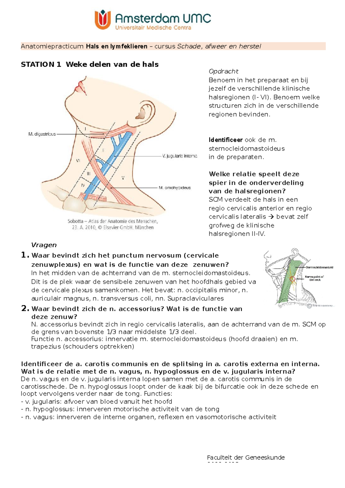 PR1 Anatomie Practicum: Hals en Lymfeklieren Studiehandleiding ...
