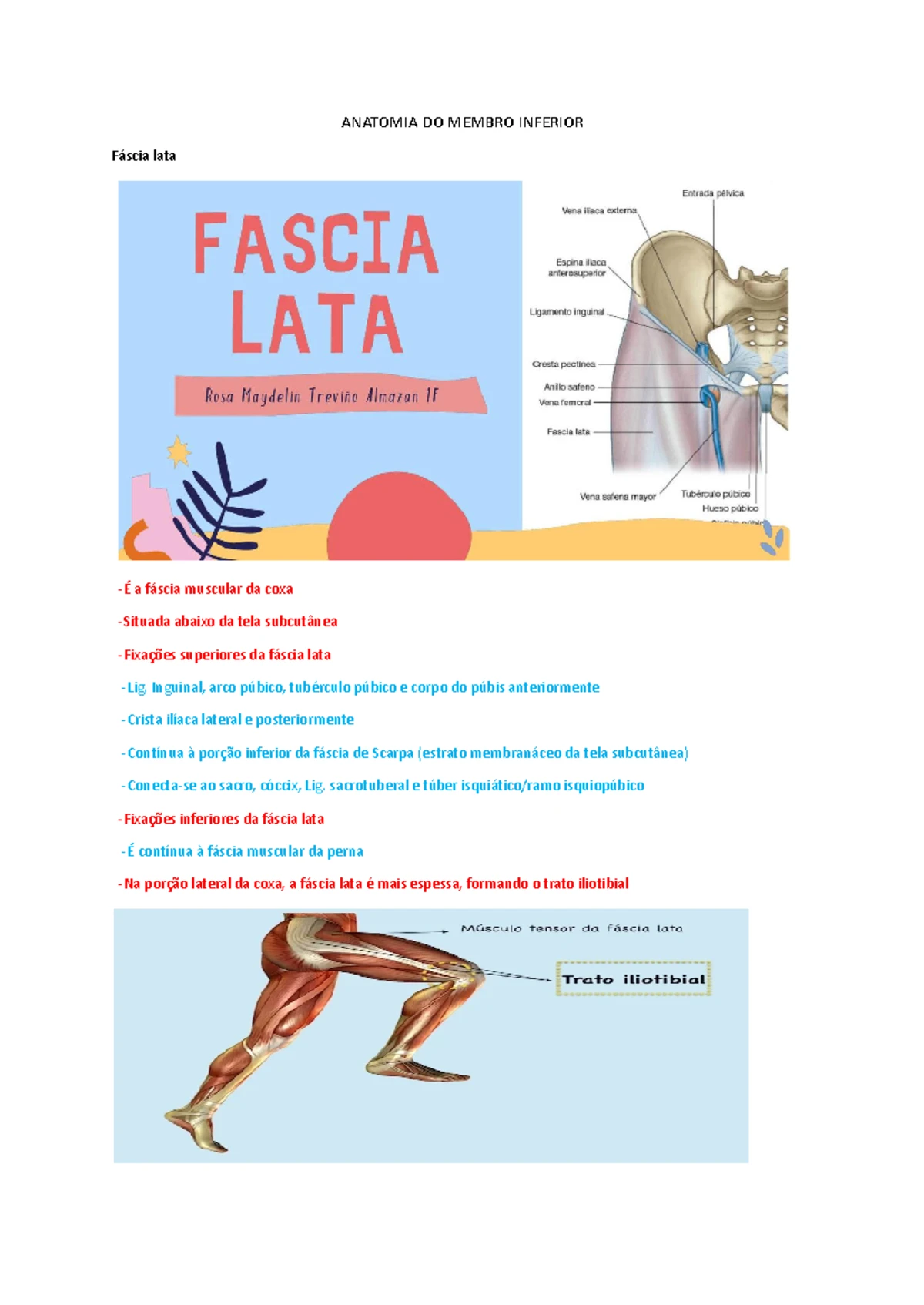 Estudo de Anatomia da Perna e Pé: Estruturas, Ligamentos e ...