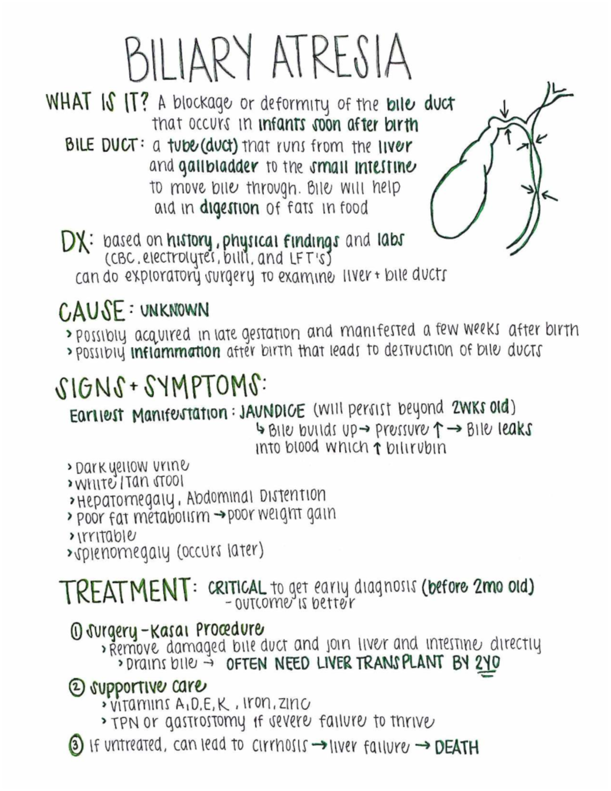 BILIARY ATRESIA: Understanding Causes, Symptoms, and Treatment - Exam 4 ...