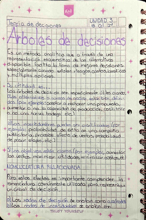 SDS Quinsyn-PG - Hoja de seguridad - SAFETY DATA SHEET 1 ...