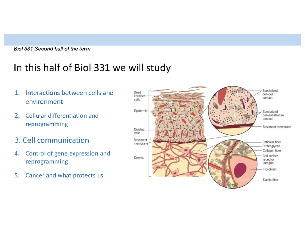 Biol 331 Lecture Notes: Cell Communication & Signal Transduction - Studocu