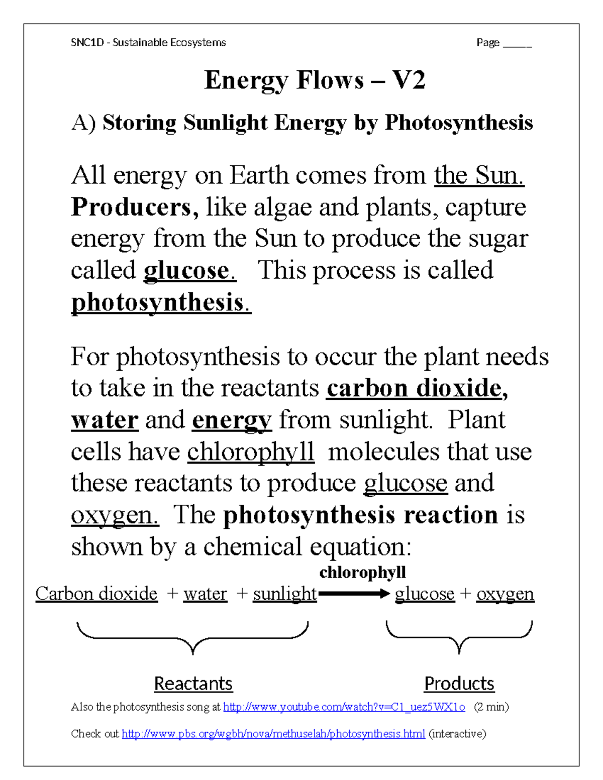 SNC1D Energy Flows: Photosynthesis & Cellular Respiration Notes - Studocu