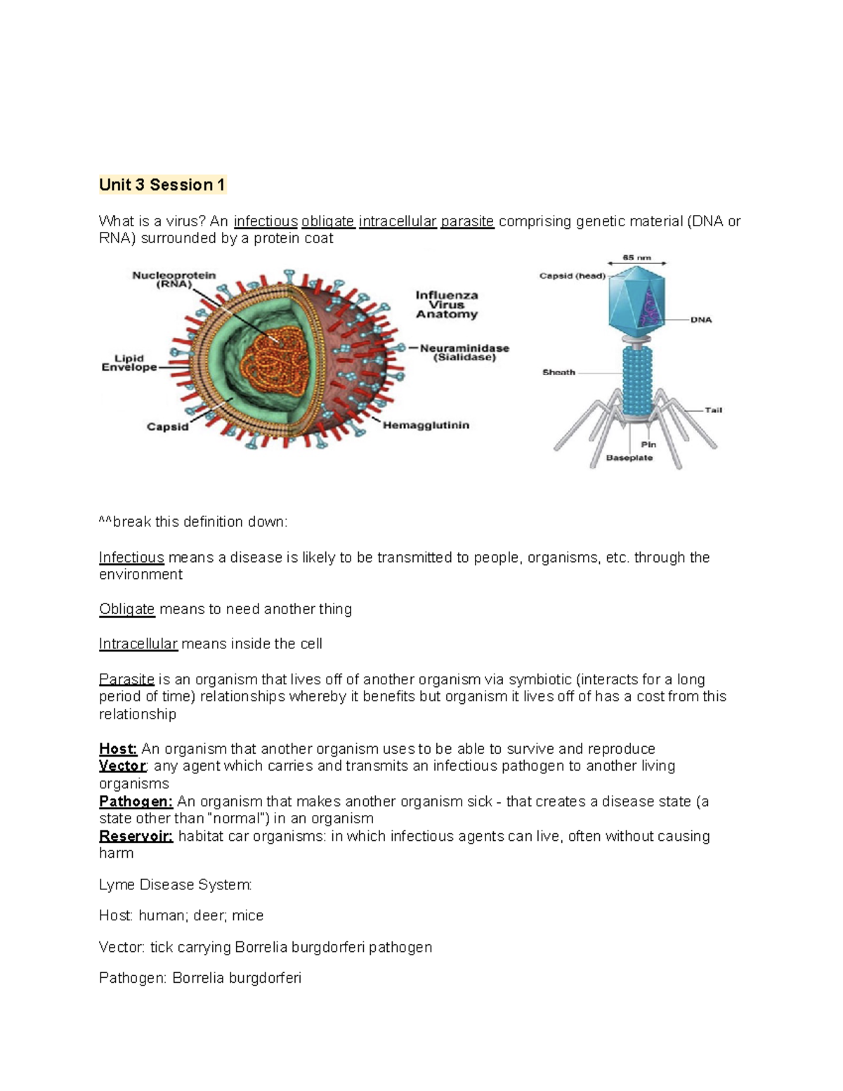 Biol 112 Unit 3 Virus Review Notes and Key Concepts - Studocu