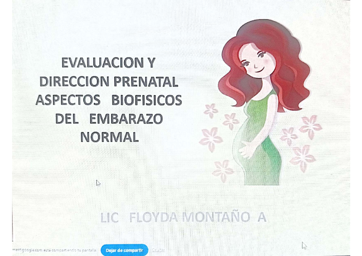 Evaluación Prenatal: Aspectos Biofísicos del Embarazo Normal CCF 02012 ...