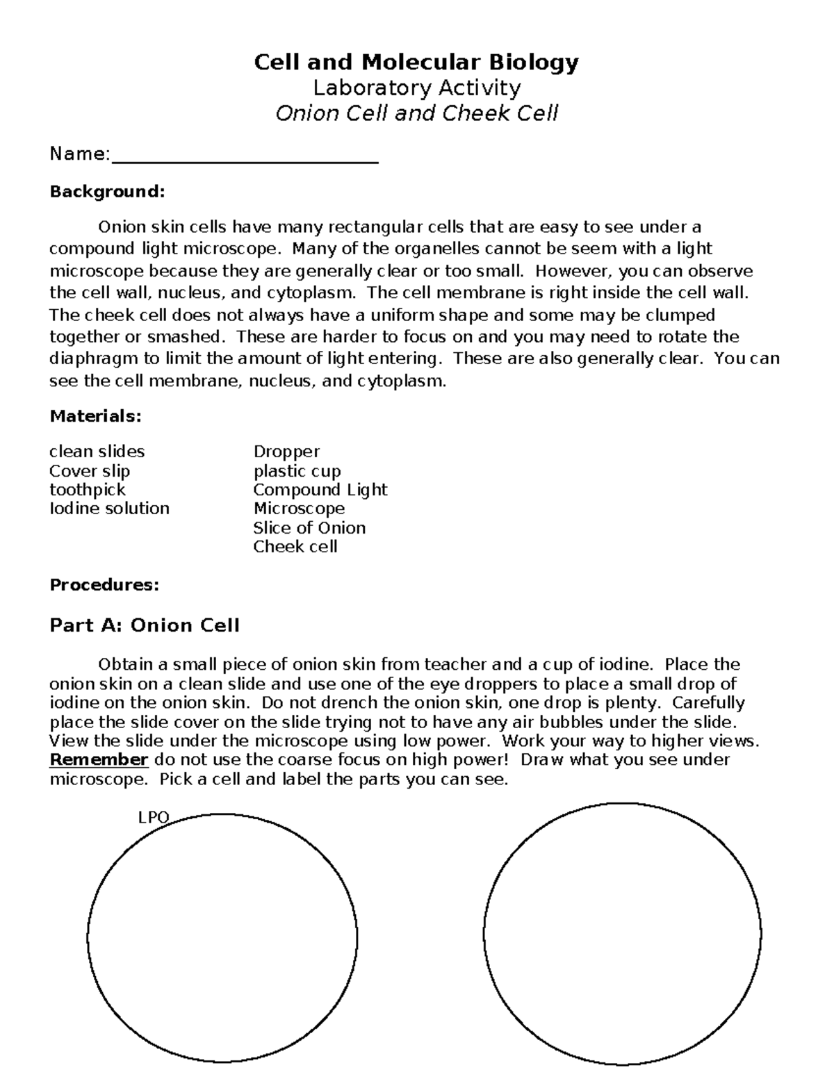 Cell Bio Lab Worksheet: Onion & Cheek Cell Observation - Studocu