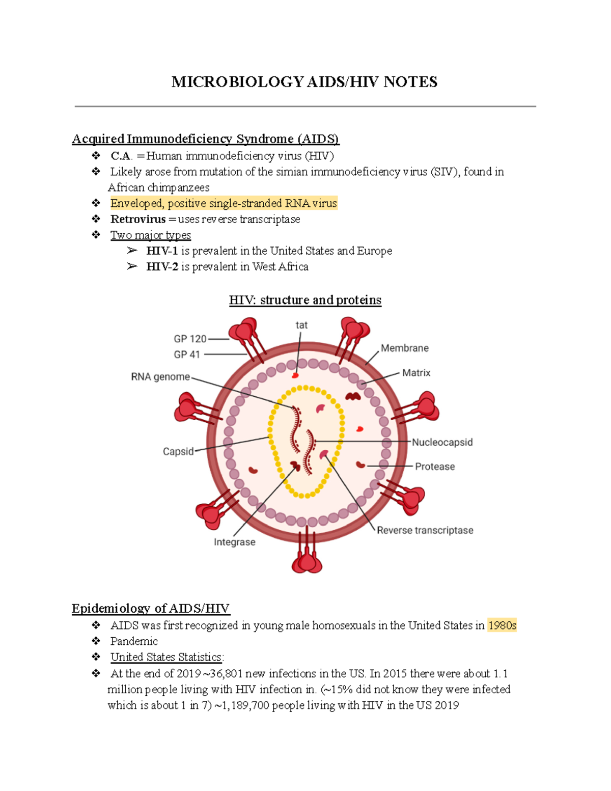 Microbiology Notes on AIDS/HIV: Causes, Epidemiology & Testing - Studocu
