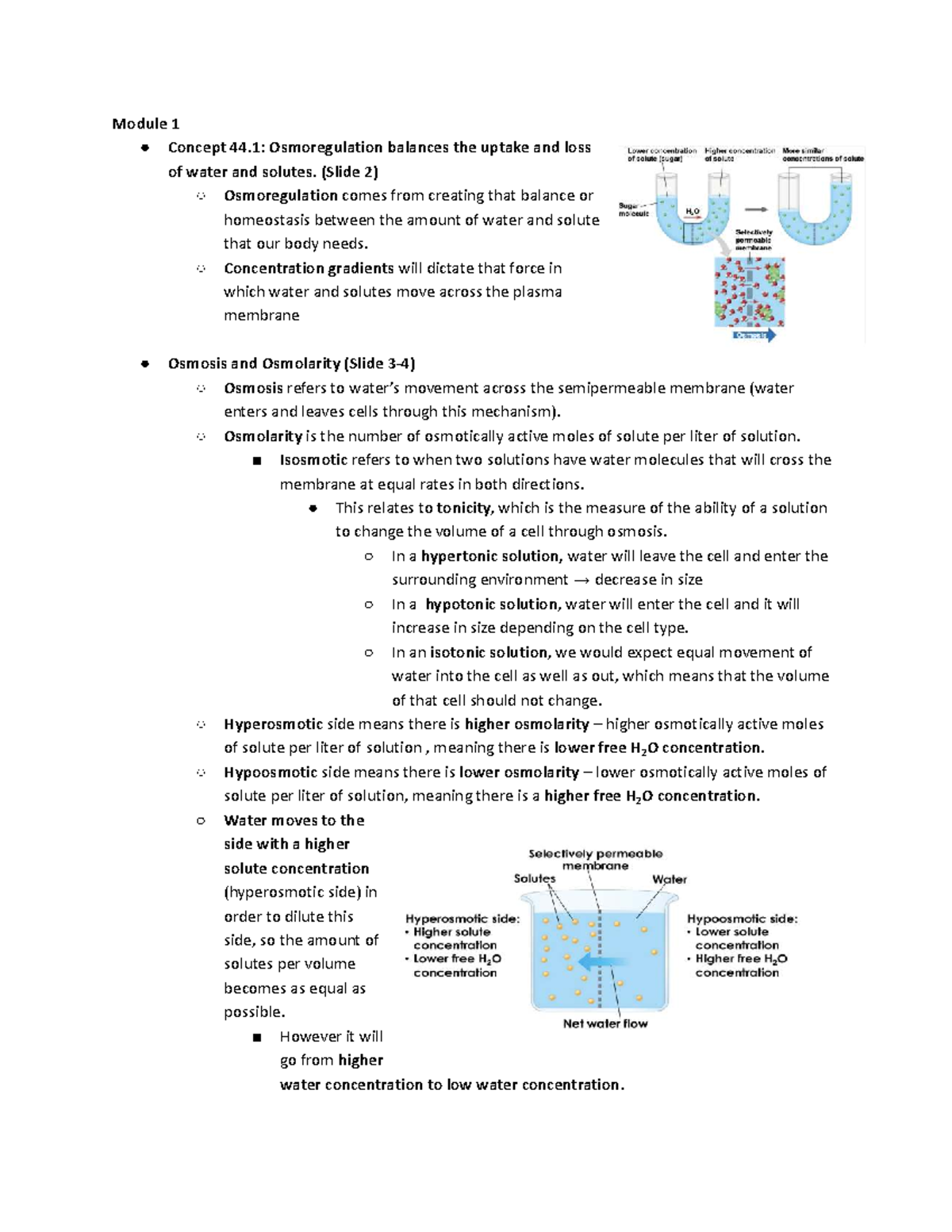 Module 1 Concept 44.1: Osmoregulation and Excretion Overview Notes ...
