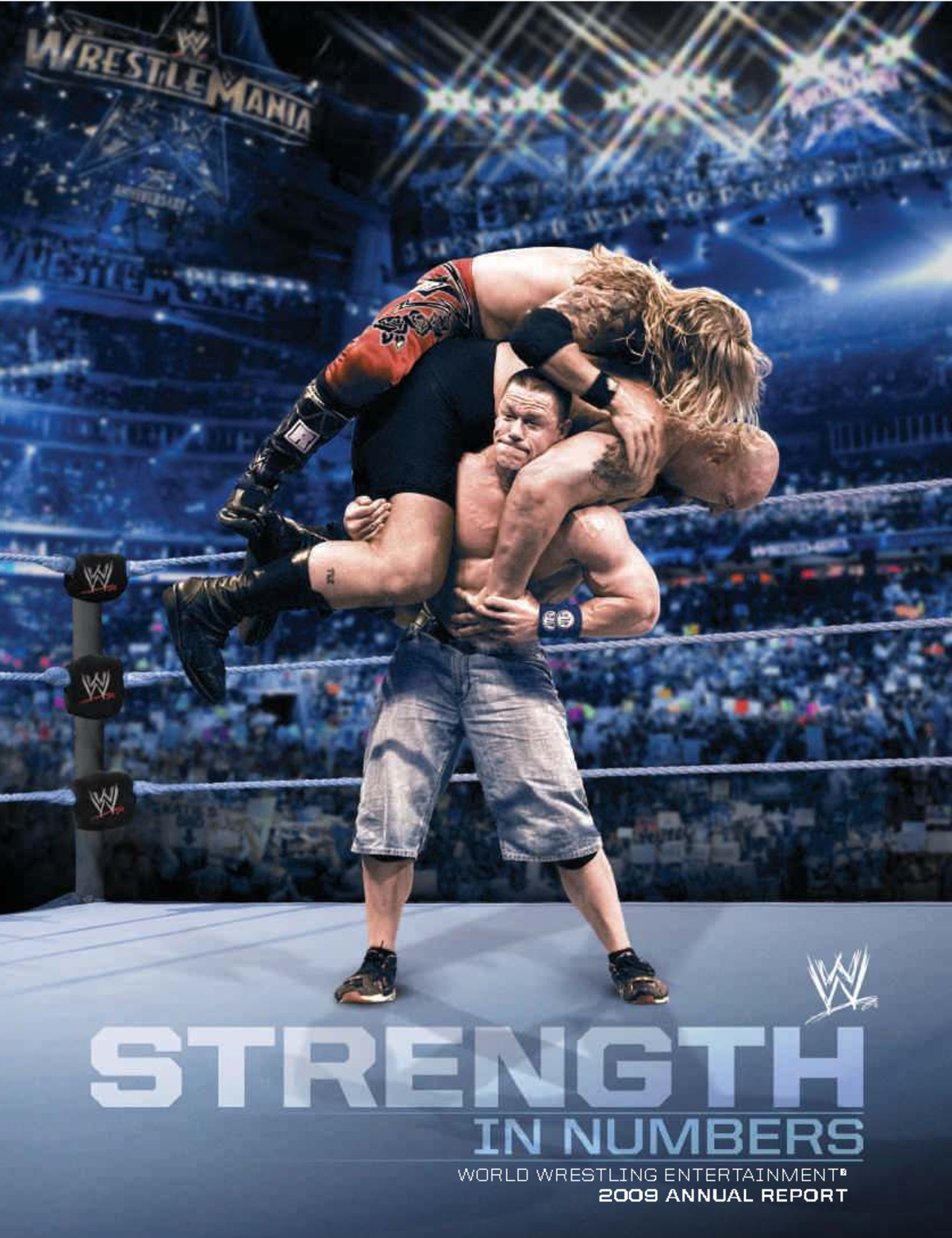 WWE 2009 Annual Report: Financial Performance & Strategic Insights ...