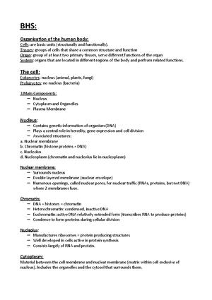 [Solved] Dress code of an optometrist - Introduction to Intergrated ...