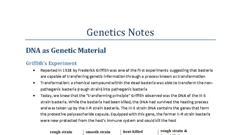Genetics Notes: DNA as Genetic Material - Experiment Insights (BIO101 ...