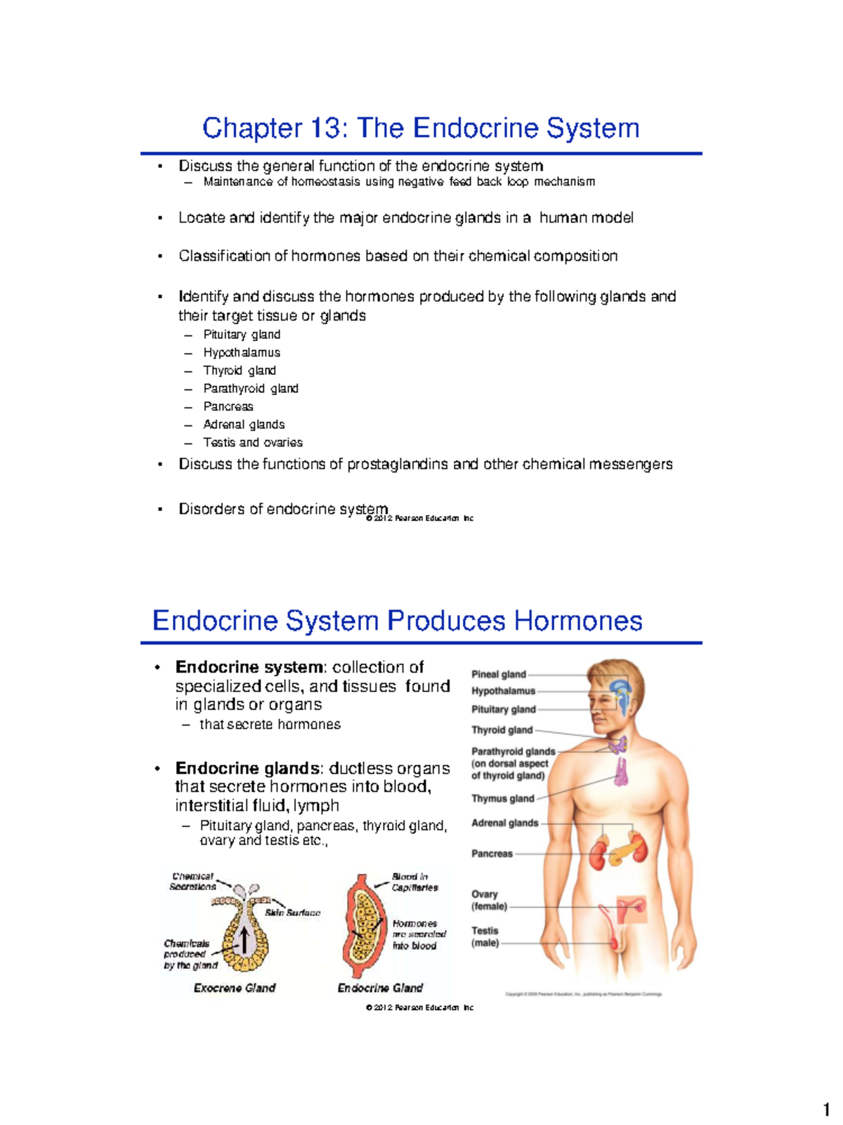 Endocrine System Overview: Hormones and Glands (BIOL 101) - Studocu