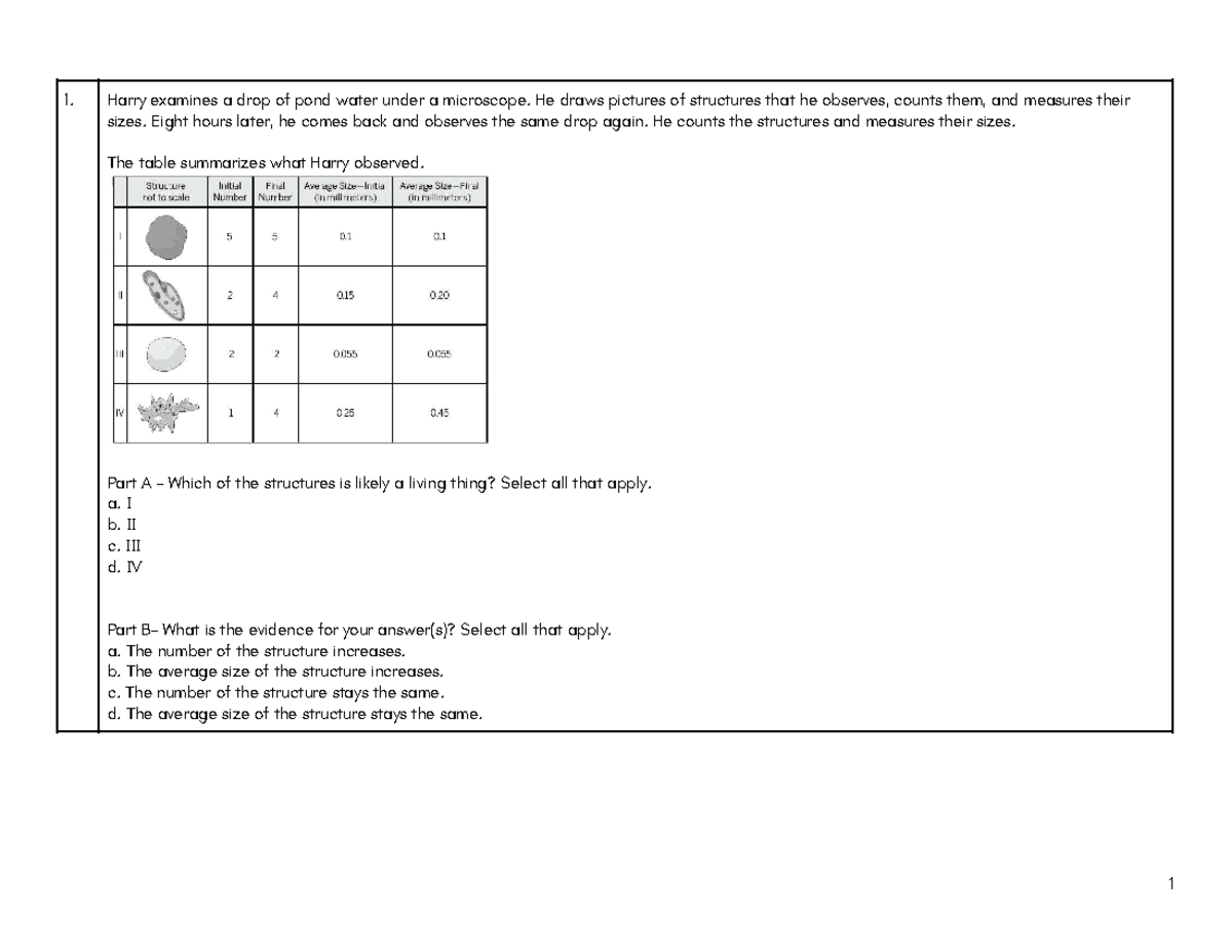 6th Grade Science Exam Review: Understanding Cells & Energy Systems ...