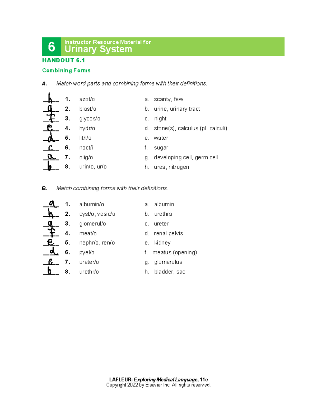 Ch6 - Urinary System Instructor Resource Handouts and Definitions - Studocu