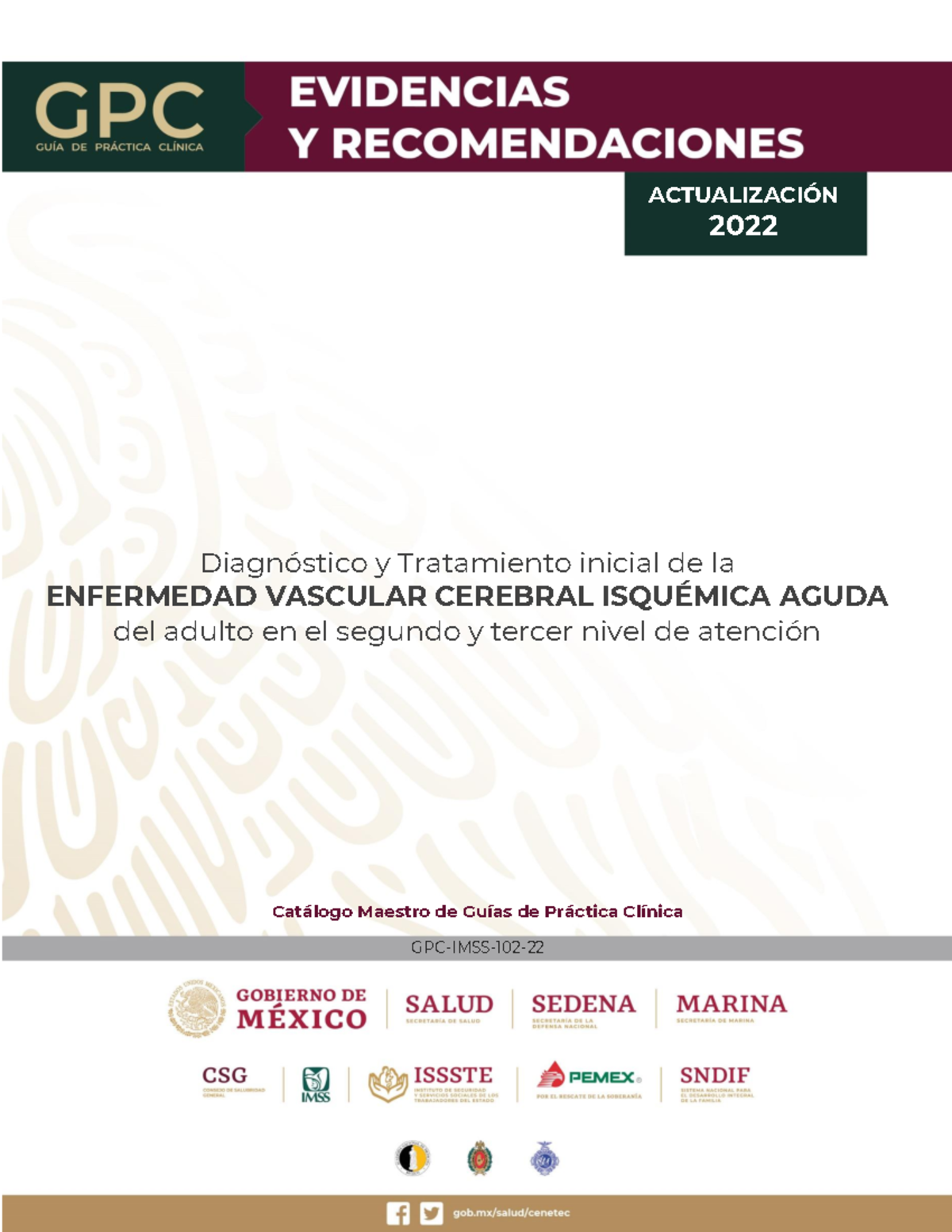 GPC 2022 Diagnóstico y Tratamiento de EVC Isquémico Agudo en Adultos ...