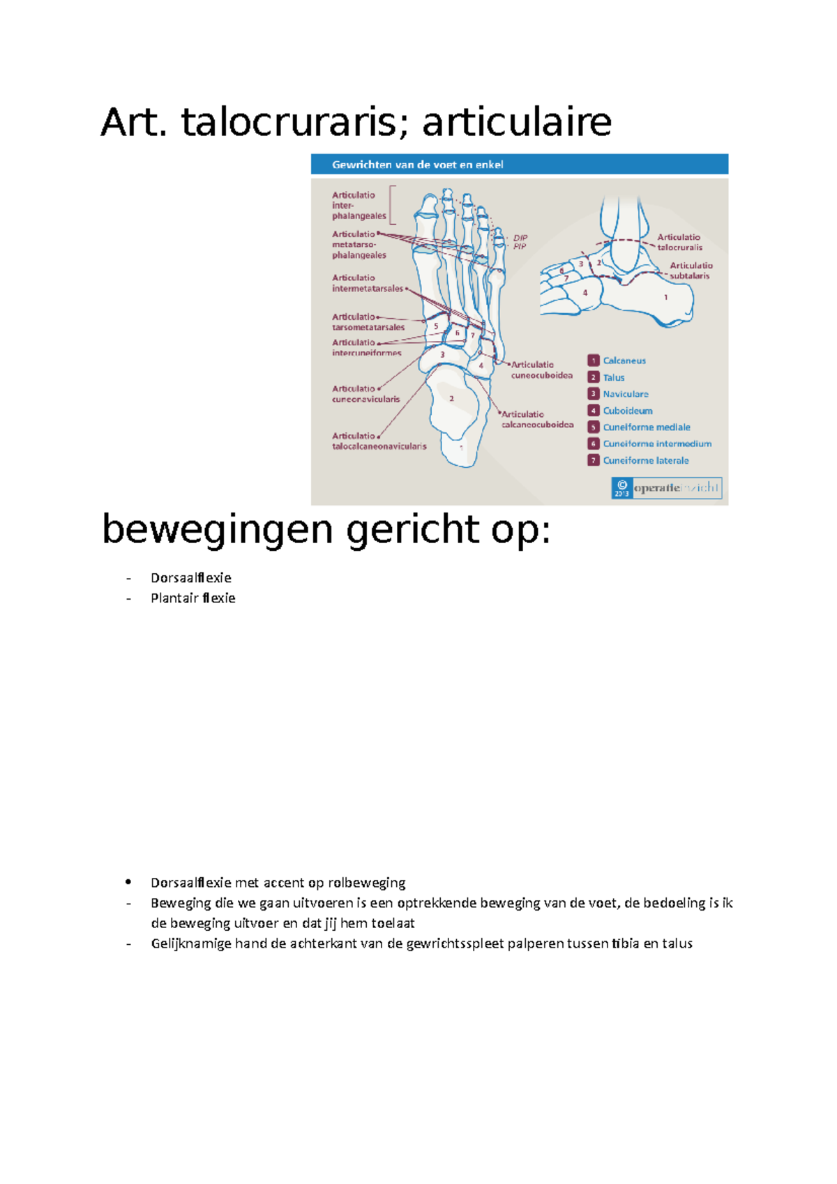Articulaire Bewegingen: Dorsaal- en Plantairflexie, Inversie ...