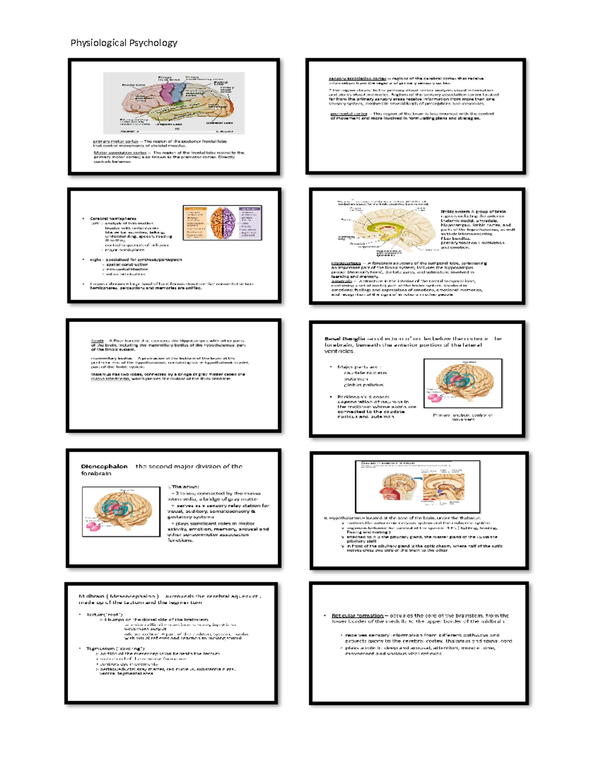 Structure of the brain - Zbznzjjz - Physiological Psychology Primary ...