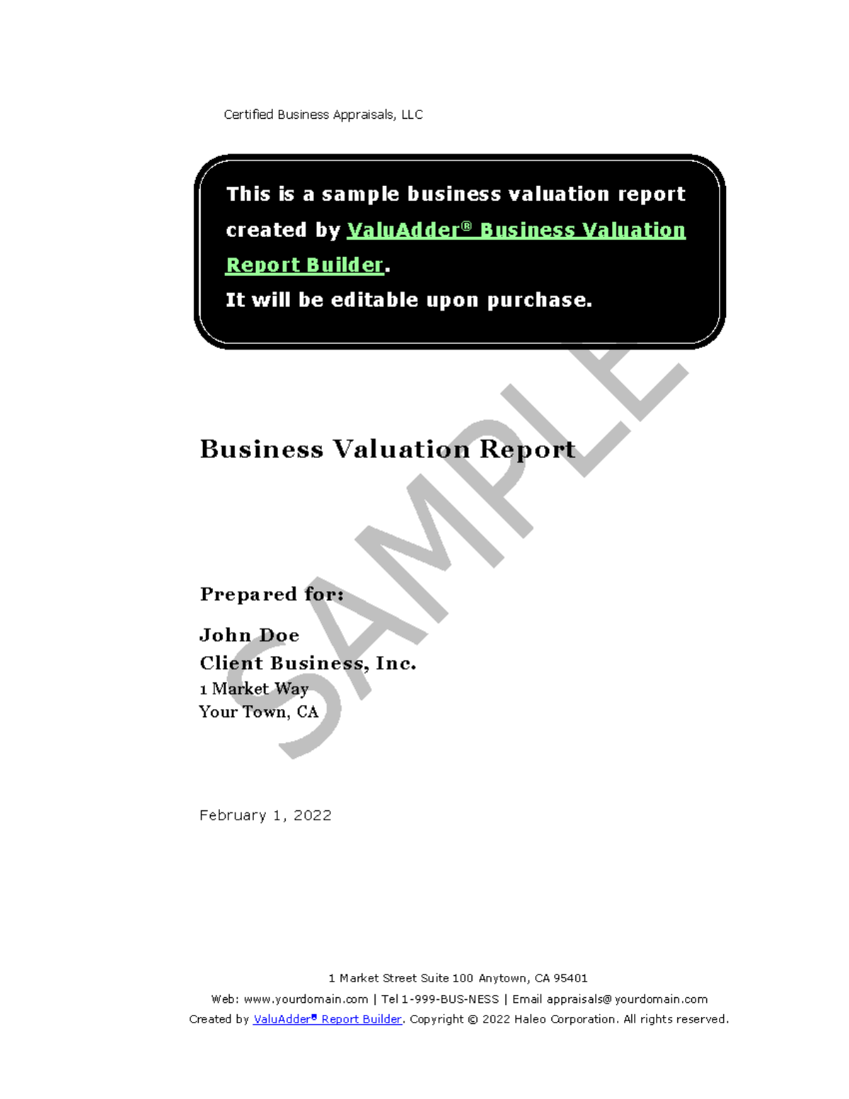Business Valuation Report for Client Business, Inc. - Sample Analysis ...