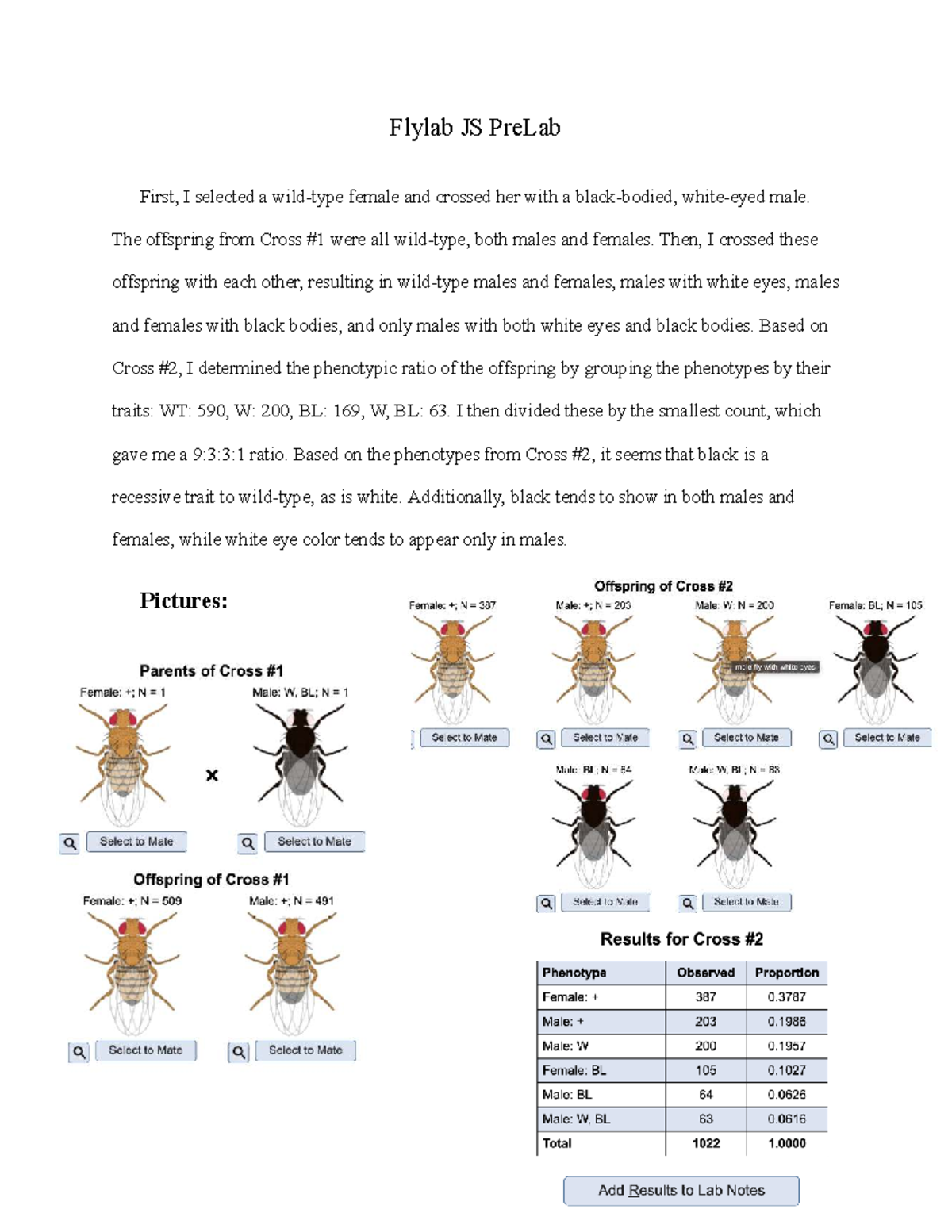 PL-F10 Flylab JS PreLab: Phenotypic Ratios and Traits Analysis - Studocu