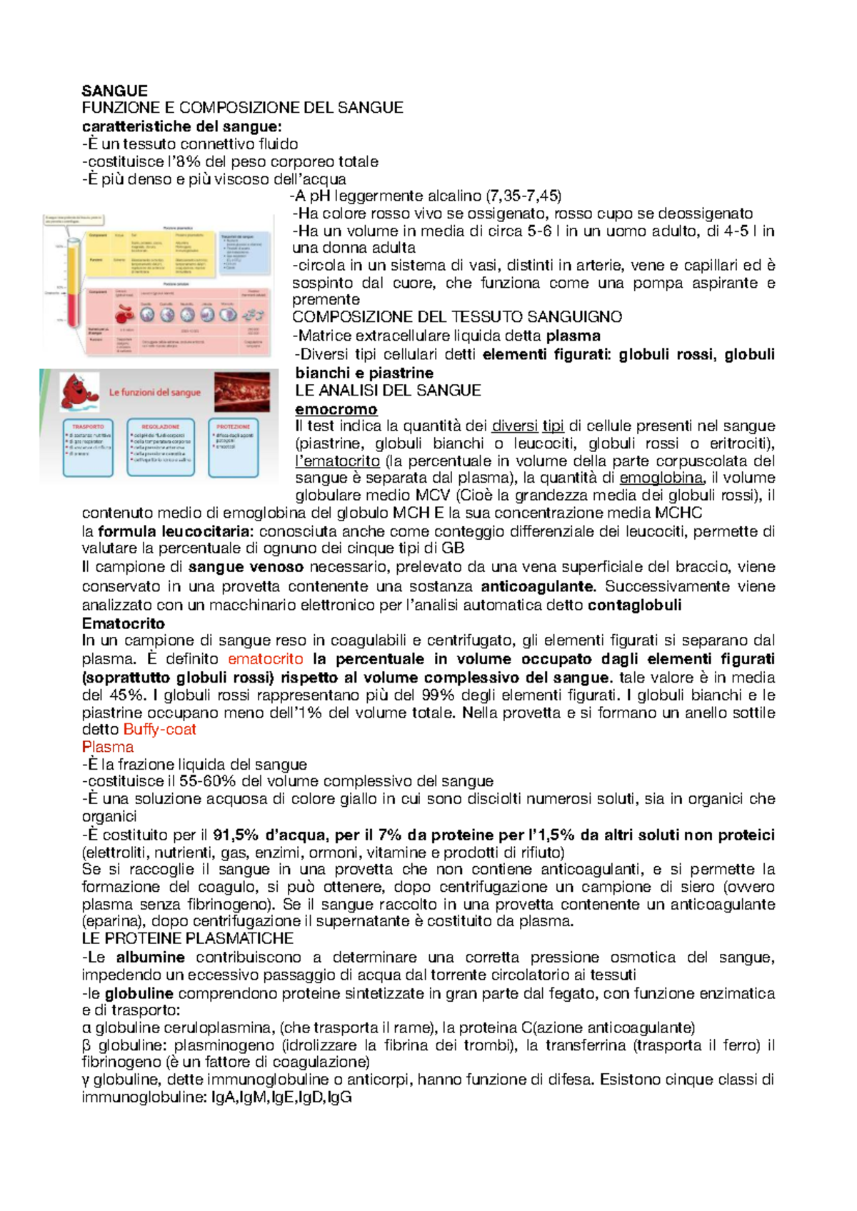 SANGUE: FUNZIONE, COMPOSIZIONE E ANALISI - Corso di Fisiologia - Studocu