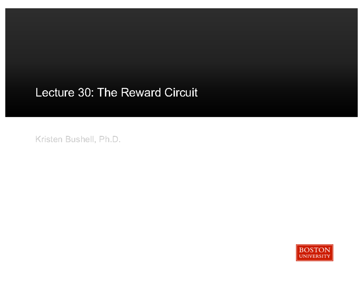 NE 101: Lecture 30 - Understanding the Reward Circuit in Neuroscience ...