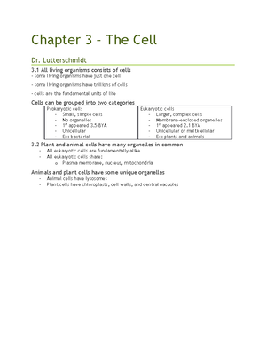 Ch. 13 Lab Exercise - Camden DeBonis the Nightmare Chapter 13 Lab ...