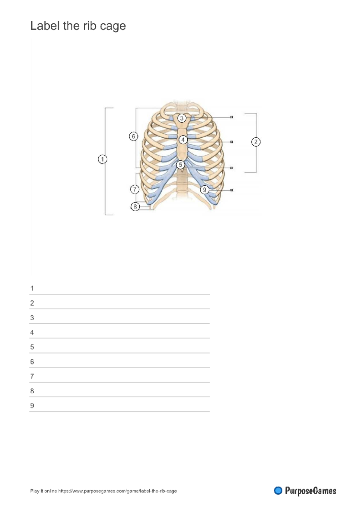 Rib Cage - Lab handout for skeletal system - BIOL201N - Label the rib ...