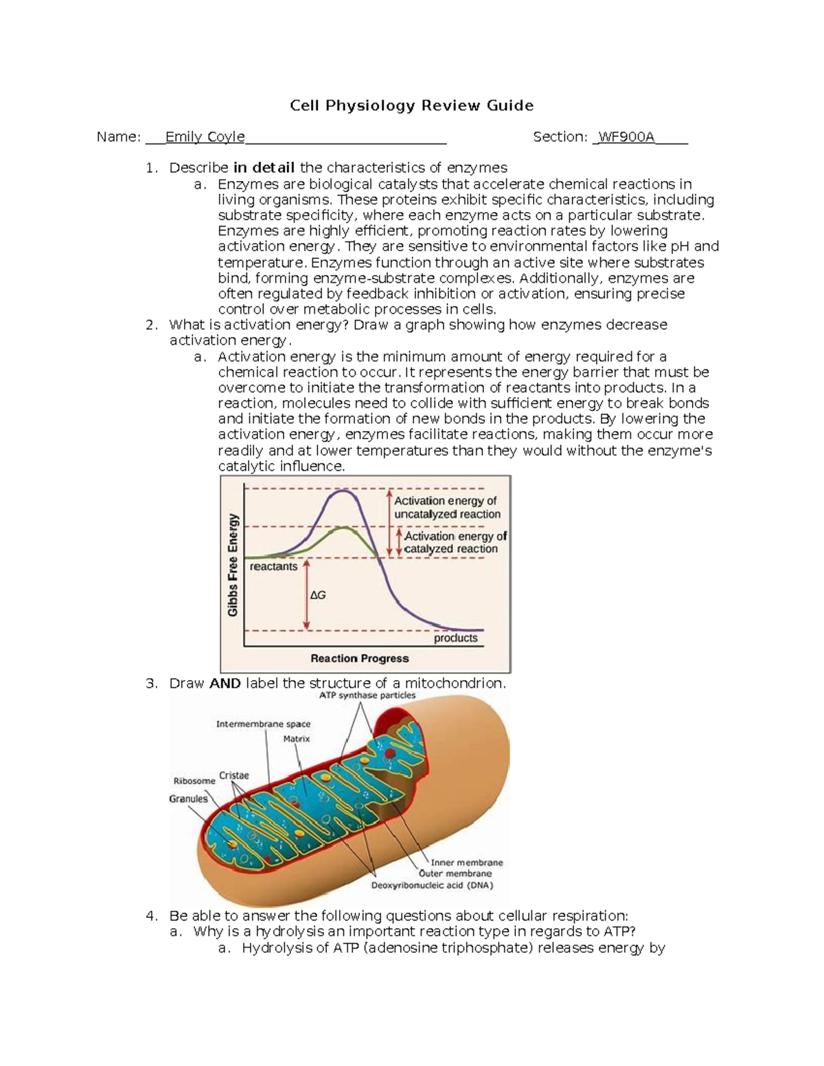 Cell Physiology Midterm Review Guide - WF900A - Studocu
