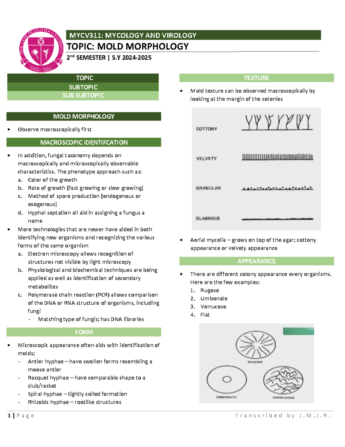 LAB 4 - MOLD Morphology - Lab Notes - 1 | P a g e T r a n s c r i b e d ...