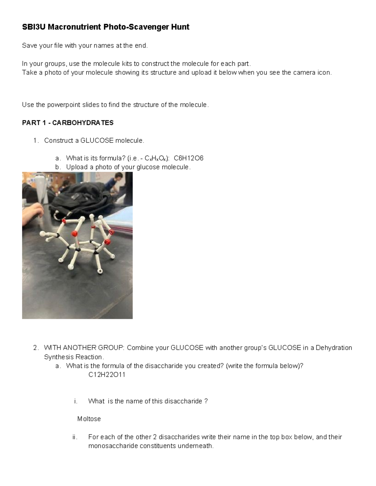 Copy of Academic Macronutrient Photo Scavenger Hunt - SBI3U ...