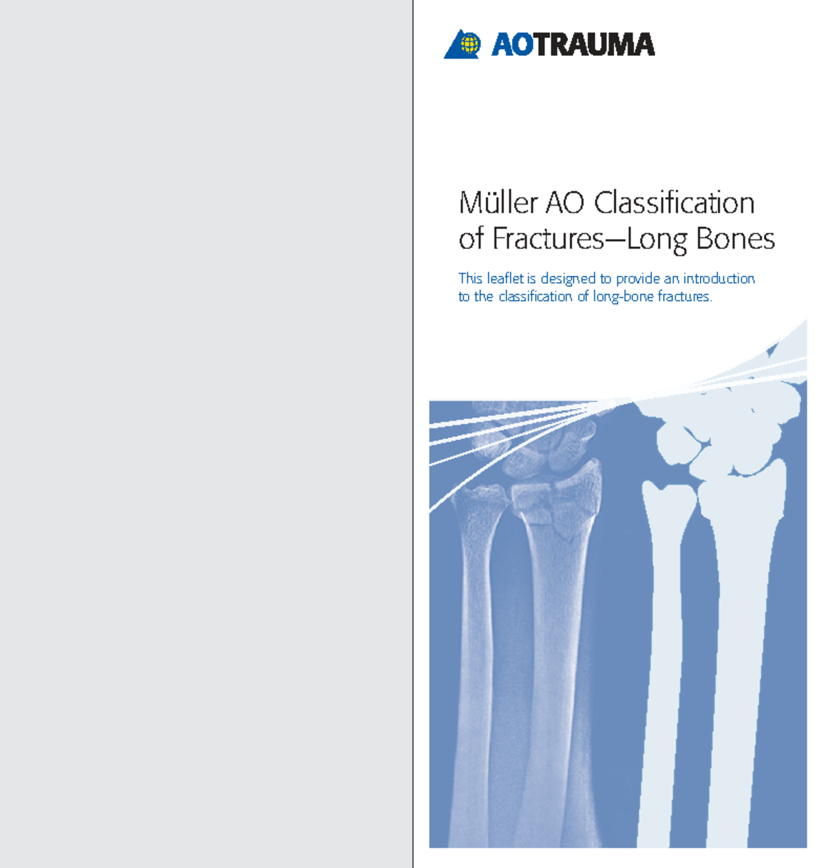 Mueller AO Classification of Fractures in Long Bones - Studocu