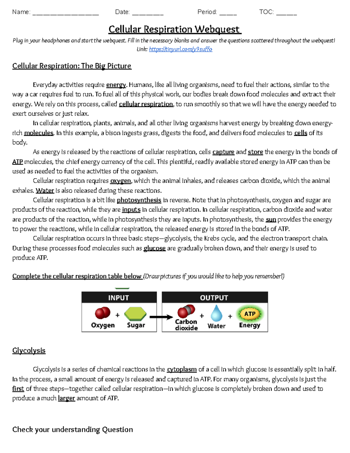 Cellular Respiration (The Big Picture) Answer Key - Cellular ...