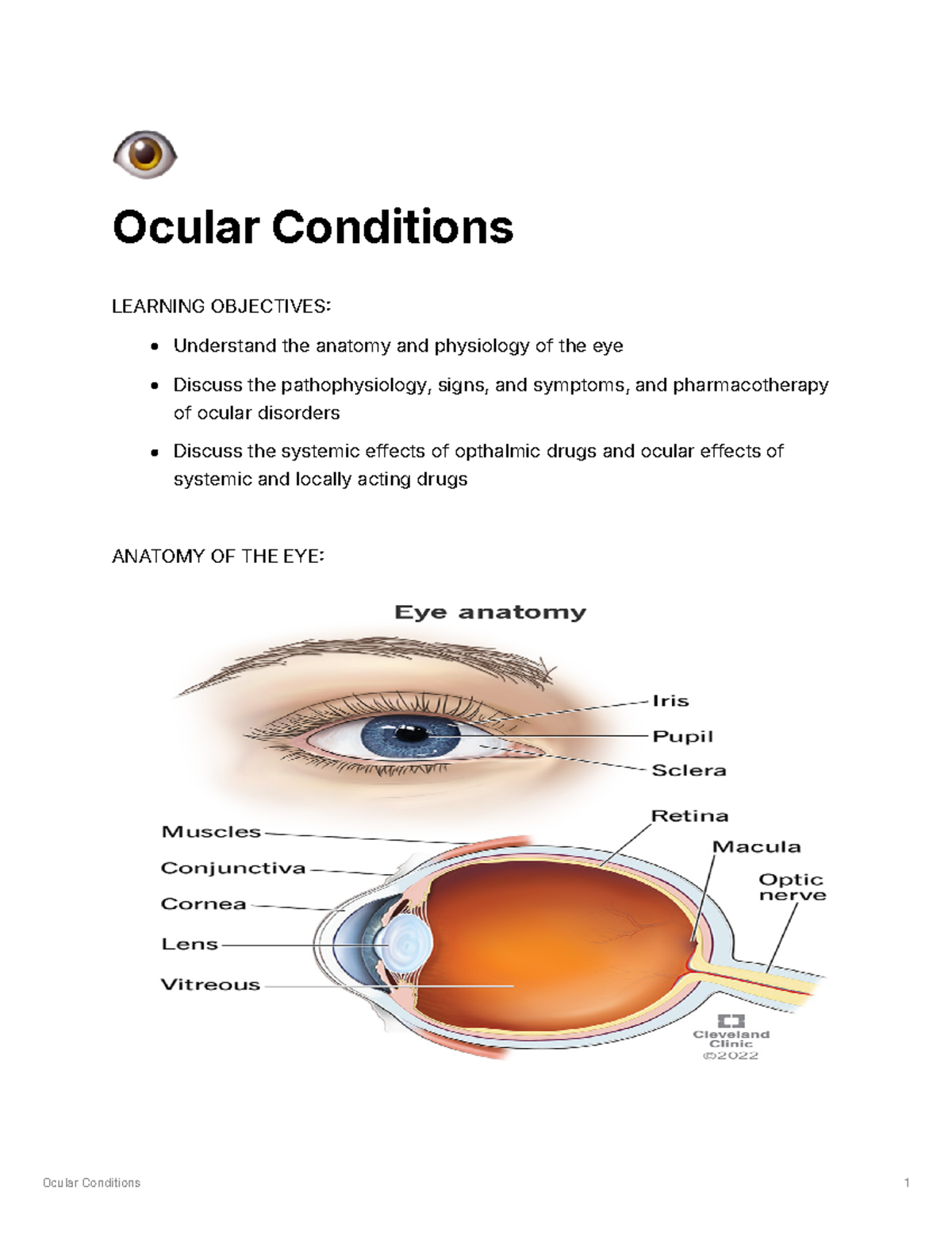 Ocular Conditions Overview: Understanding Eye Disorders & Treatments ...
