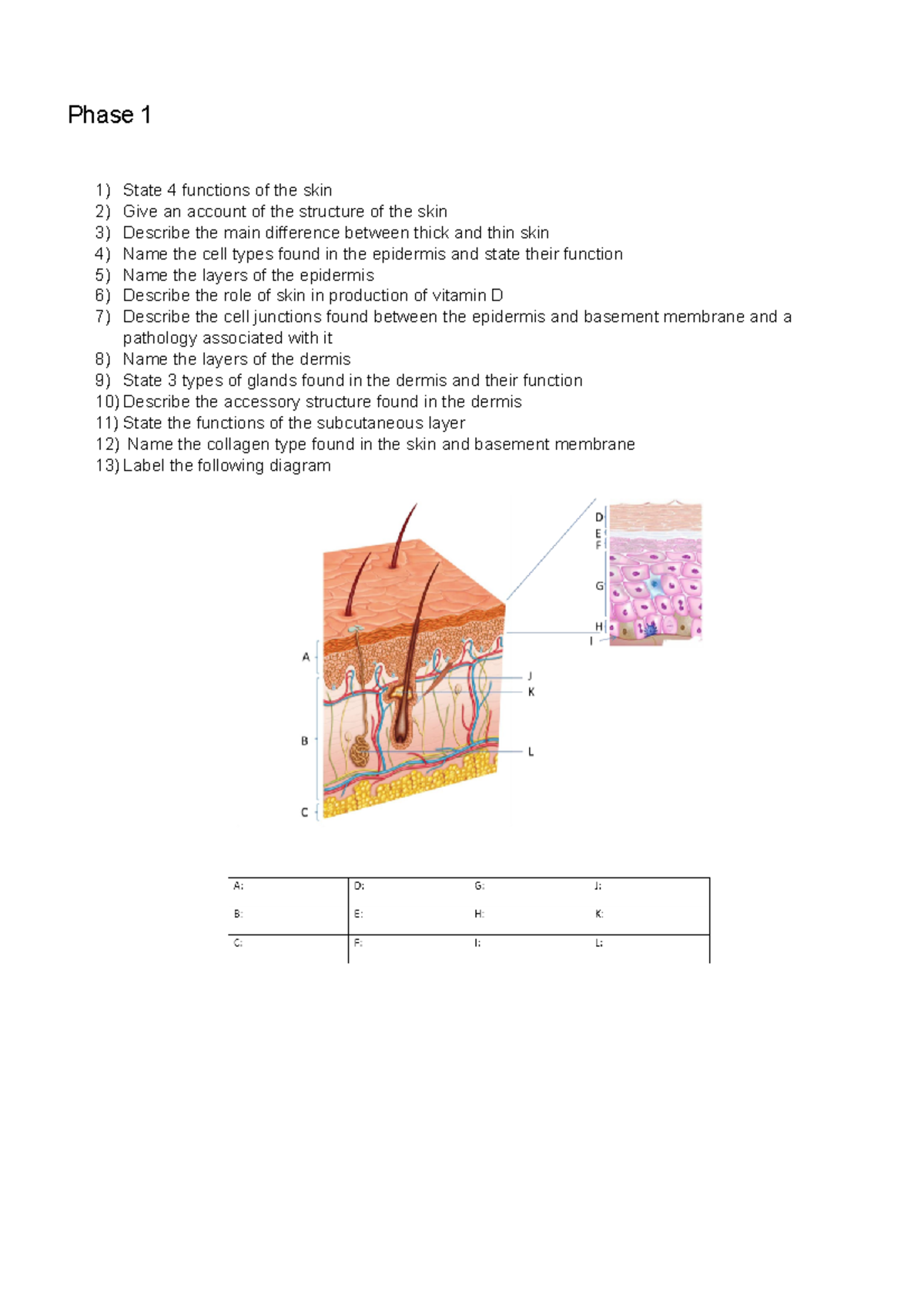 Biology 2017 Exam Questions: Skin, Blood, Signaling & More - Studocu
