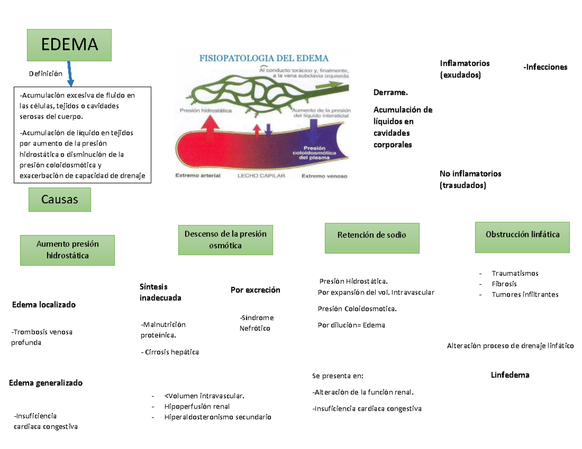 Fisiopatología del Edema: Causas y Mecanismos Clínicos - Studocu
