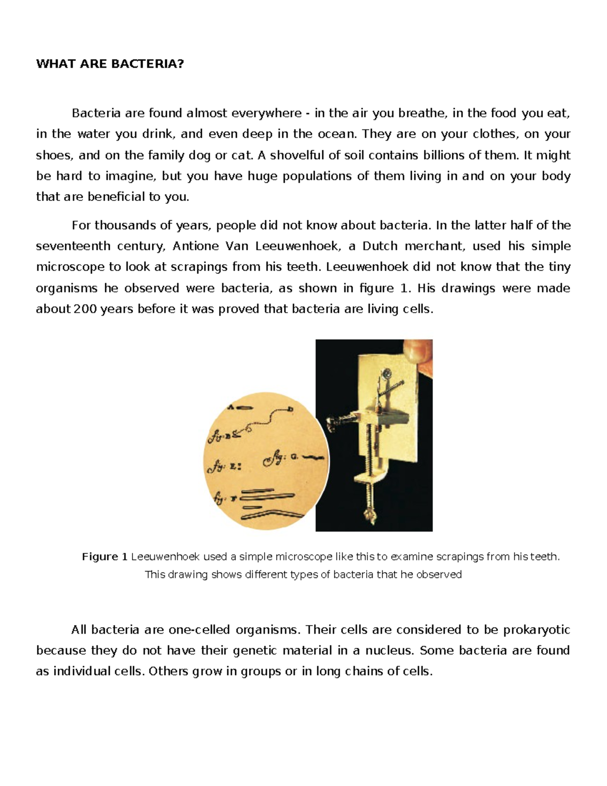 Activity 5 - Bacterial Growth Investigation Lab Report - Studocu